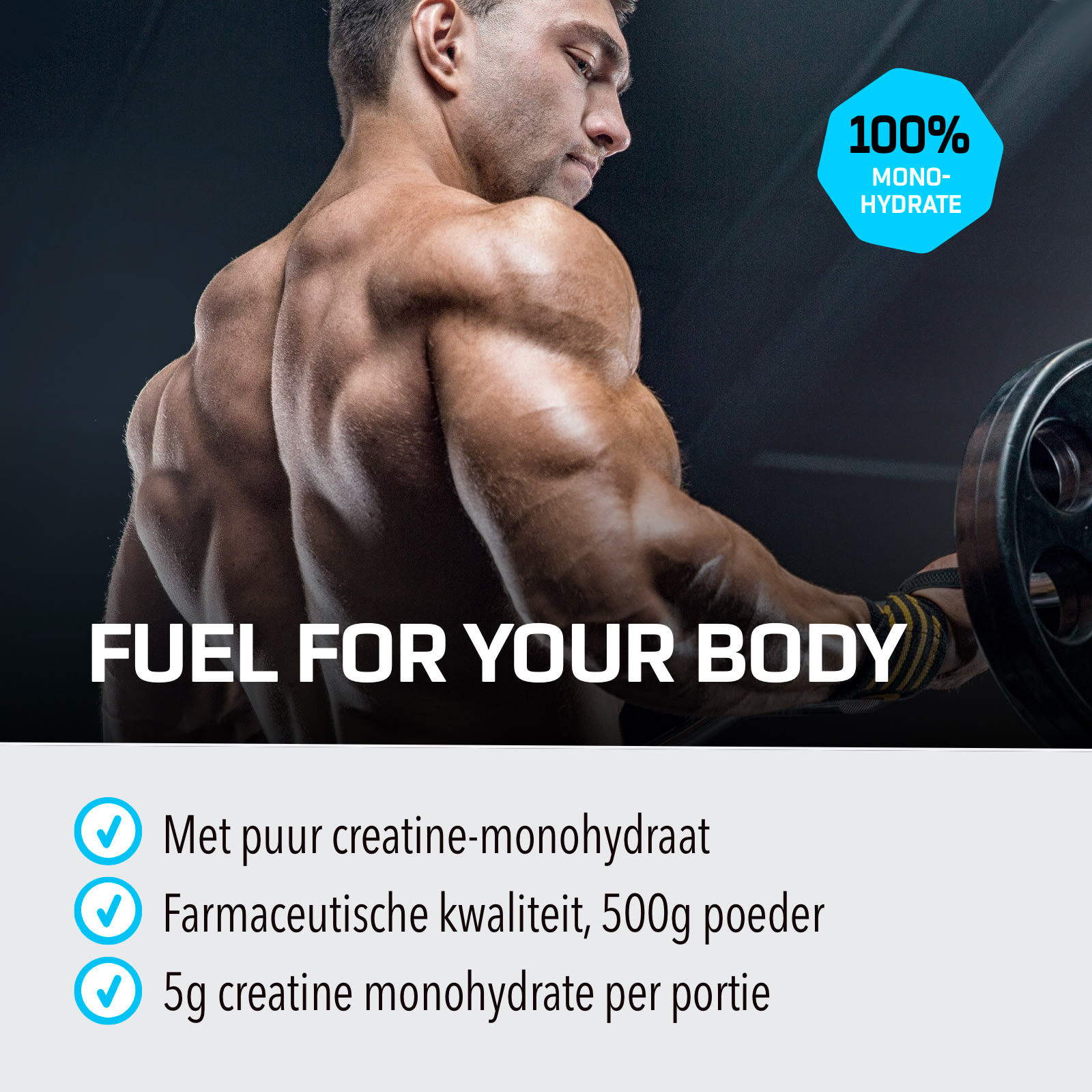 Creatine Powder 500g van Bodylab24 kopen | Bodylab Shop